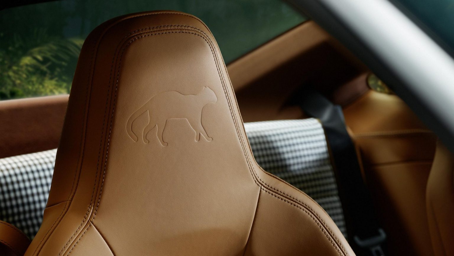 Porsche lanza el 911 GT3 ‘Ocelot’: un homenaje a la biodiversidad ...
